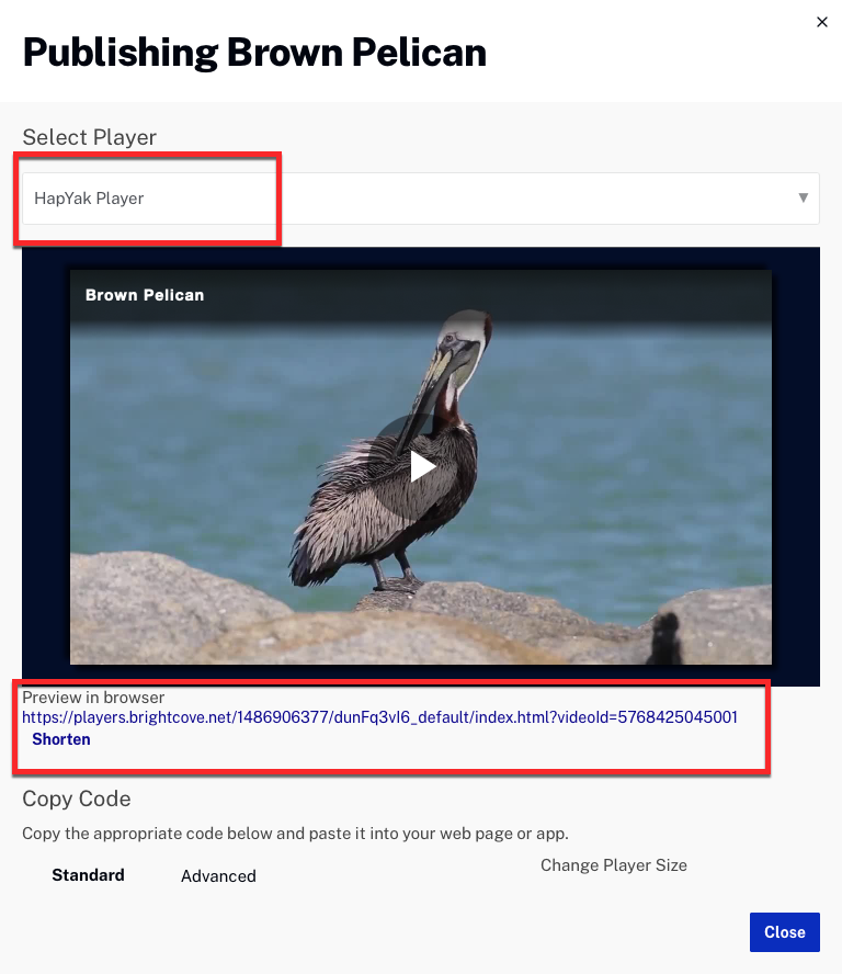 Creating and Managing Projects